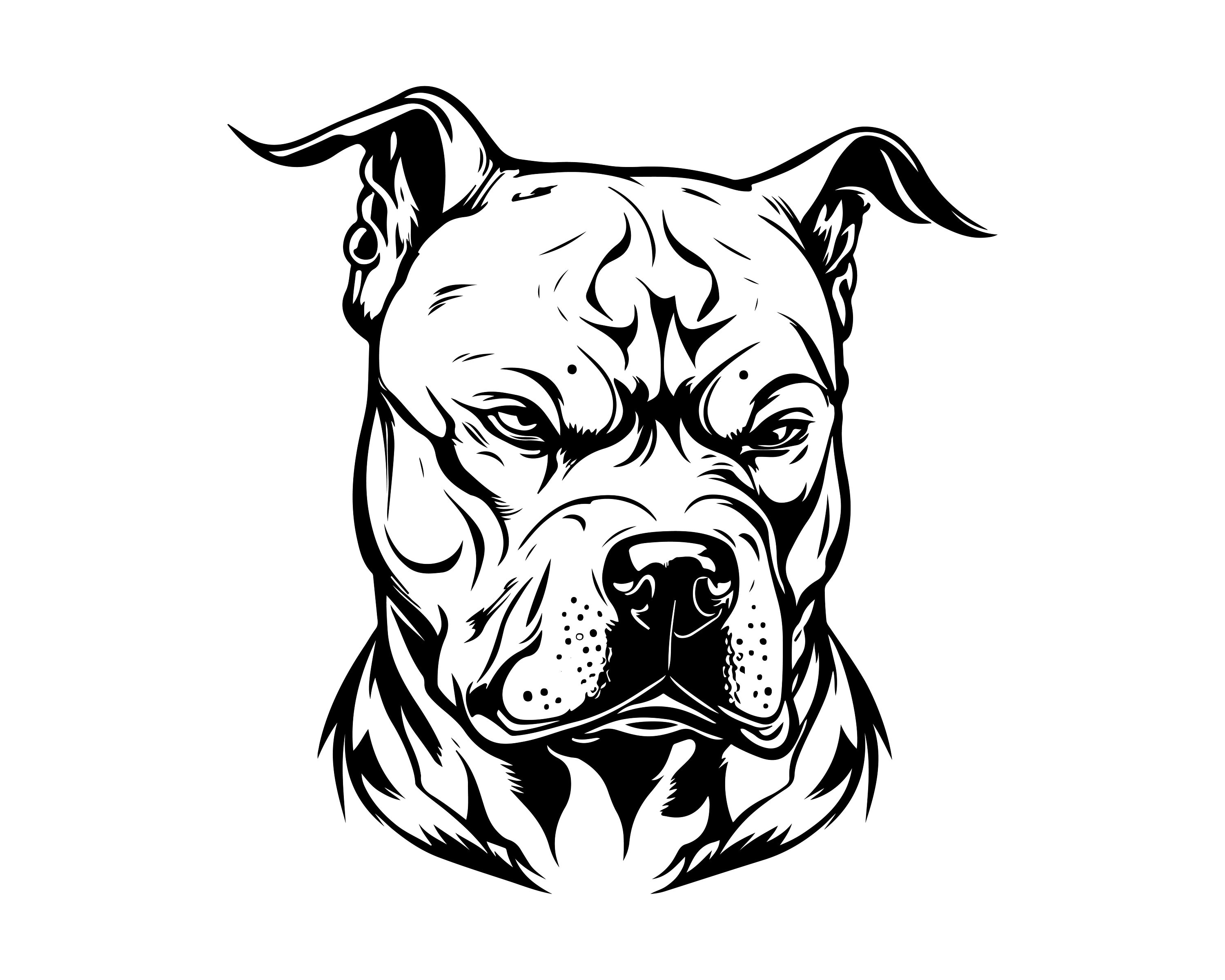 Pitbull Head Drawing