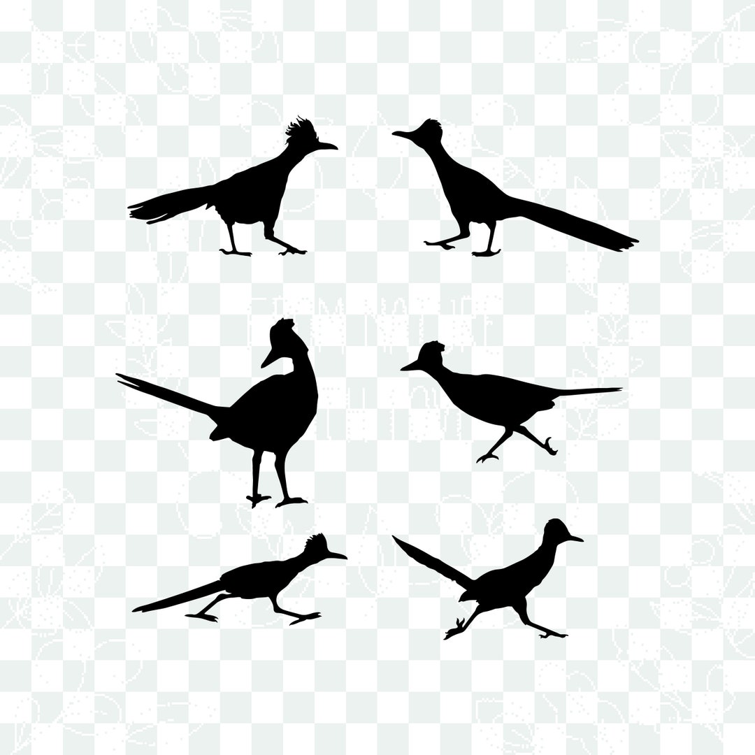 Roadrunner Svg, Fast Runner Svg, Roadrunner Silhouette,road Runner Bird ...