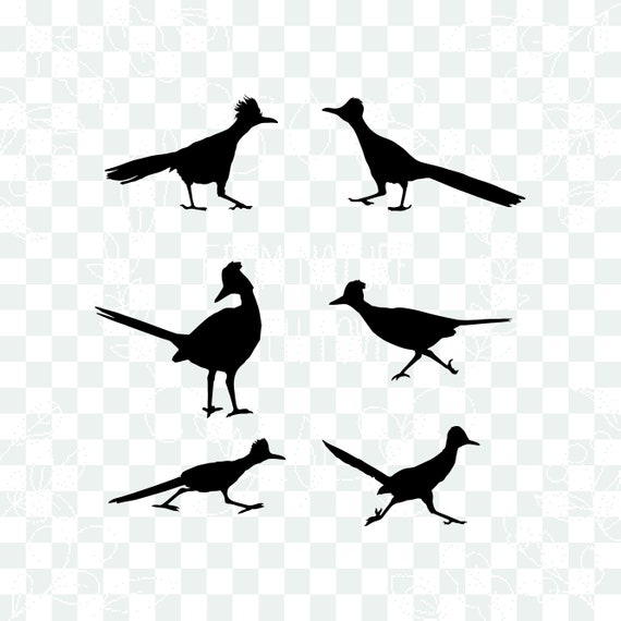 Roadrunner Svg Fast Runner Svg Roadrunner Silhouetteroad - Etsy