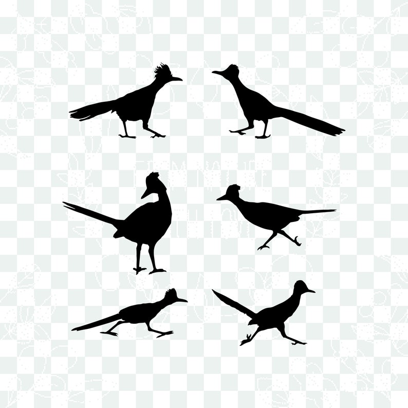 Roadrunner Svg Fast Runner Svg Roadrunner Silhouetteroad - Etsy
