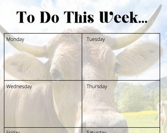 Horse A4 Printable Weekly Planner - Etsy
