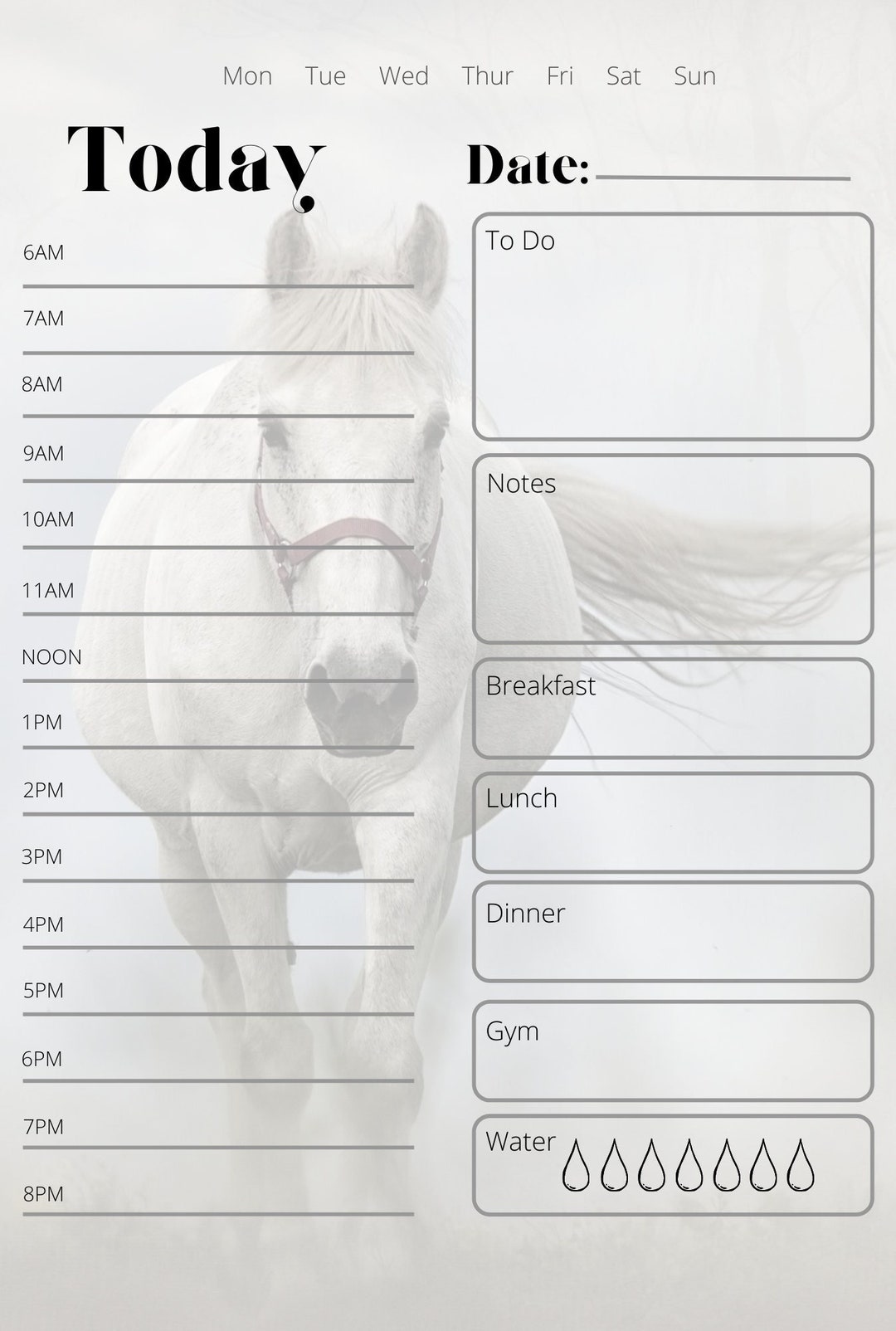 Horse A4 Printable Daily Planner - Etsy