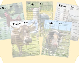 Animals A4 Printable Weekly Planner - Full Set of 5 - Etsy