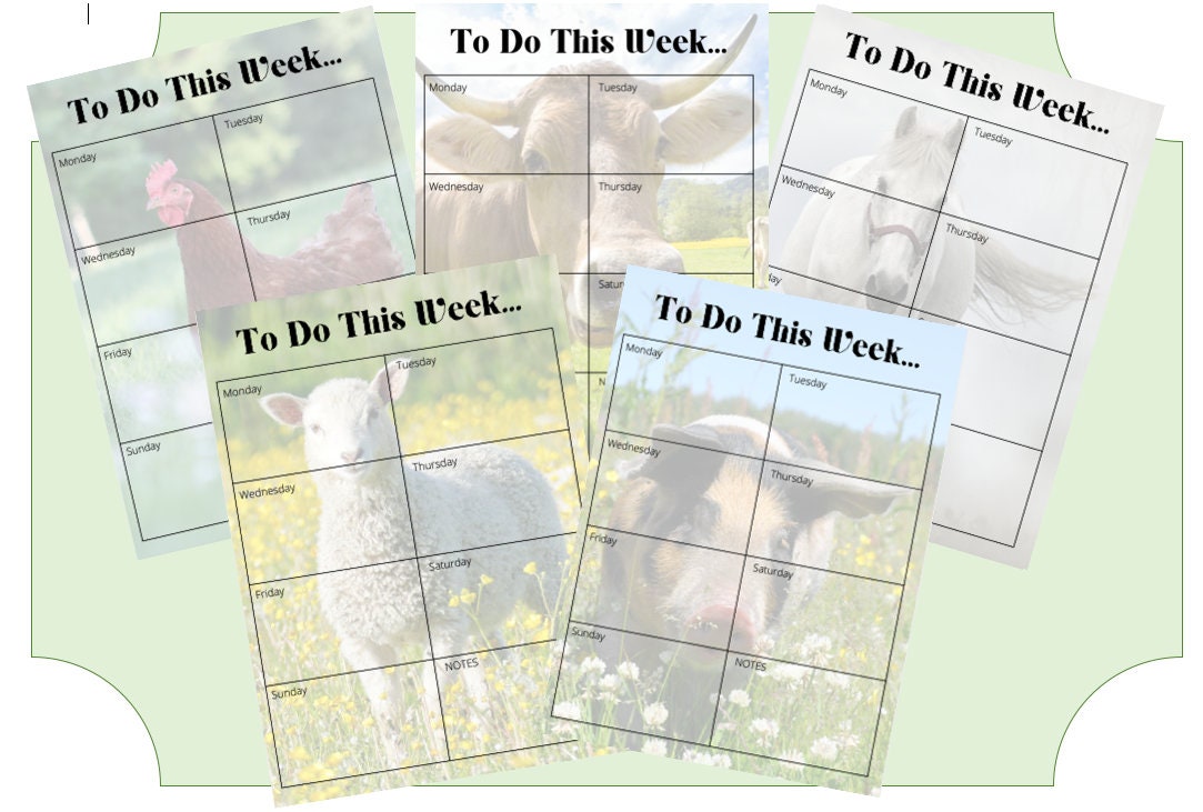 Animals A4 Printable Weekly Planner - Full Set of 5 - Etsy
