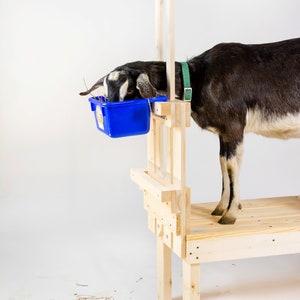 Best Goat Stand + Fits All Goats for Milking and Trimming - Etsy