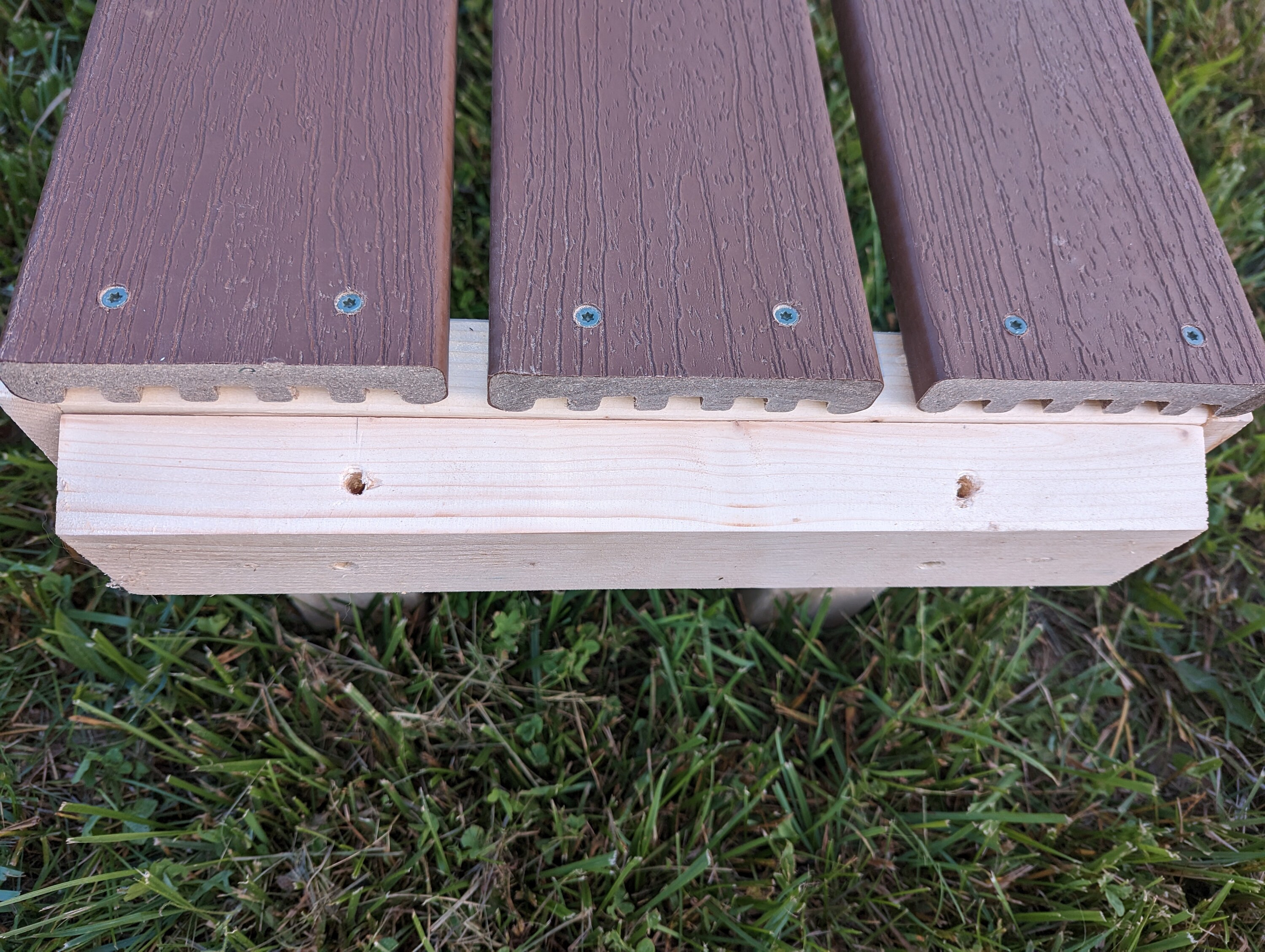 Goat Stanchion Ramp - Etsy