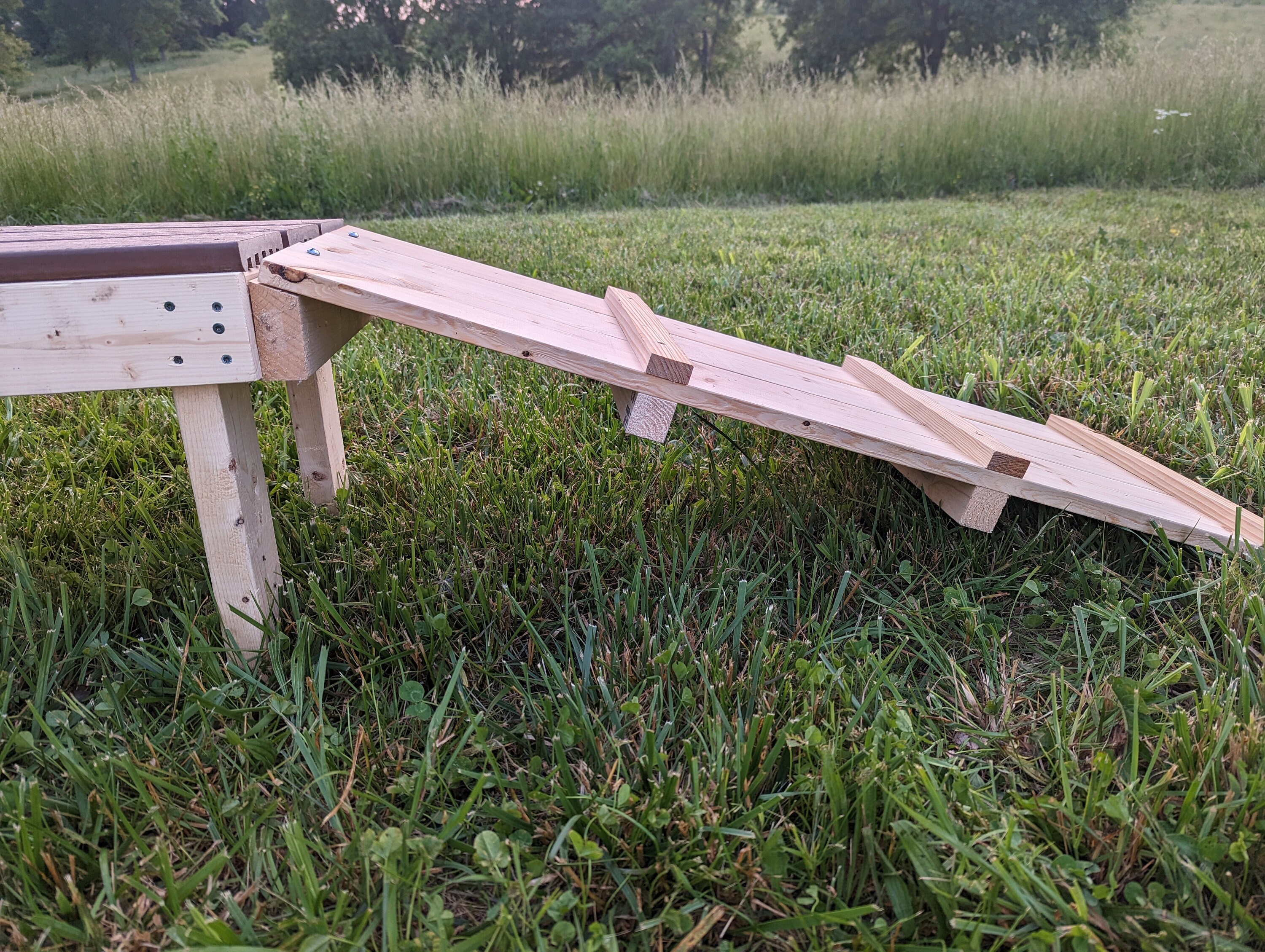 Goat Stanchion Ramp - Etsy