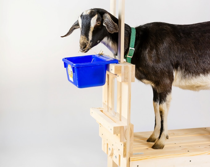 Goat Harness Nylon Web - Etsy