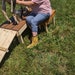 Goat Stanchion Ramp - Etsy