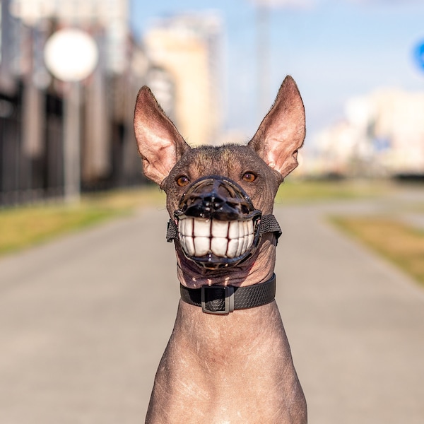 Funny Dog Muzzle - Etsy