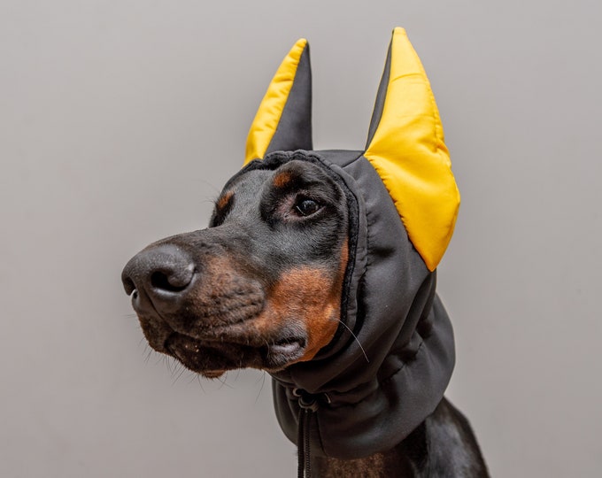 Doberman Ear Posting Brace - Etsy