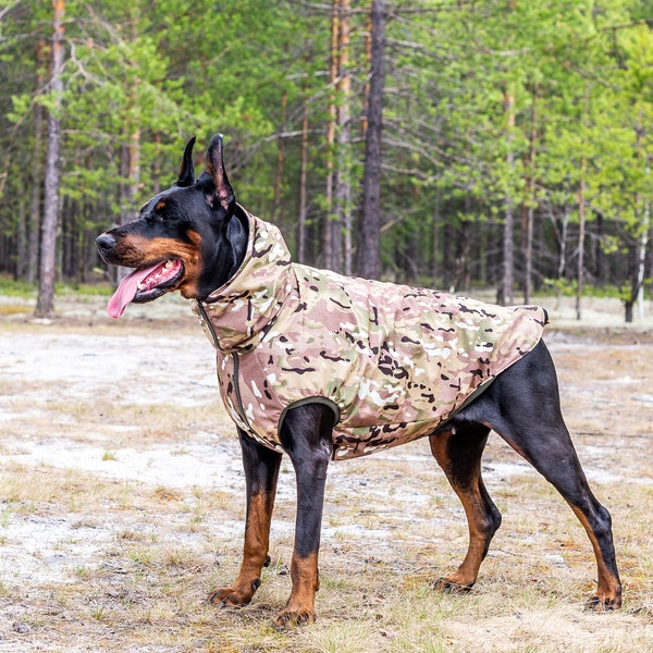 Doberman Coat - Etsy
