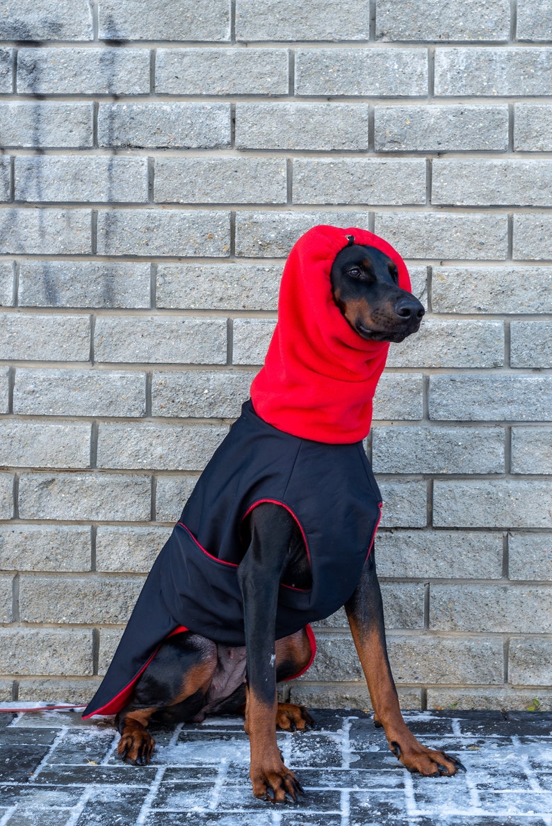 Black Doberman Winter Dog Coat, Winter Jacket, Custom Waterproof Coat ...