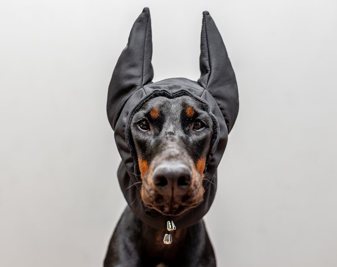 Doberman Ear Posting Brace - Etsy