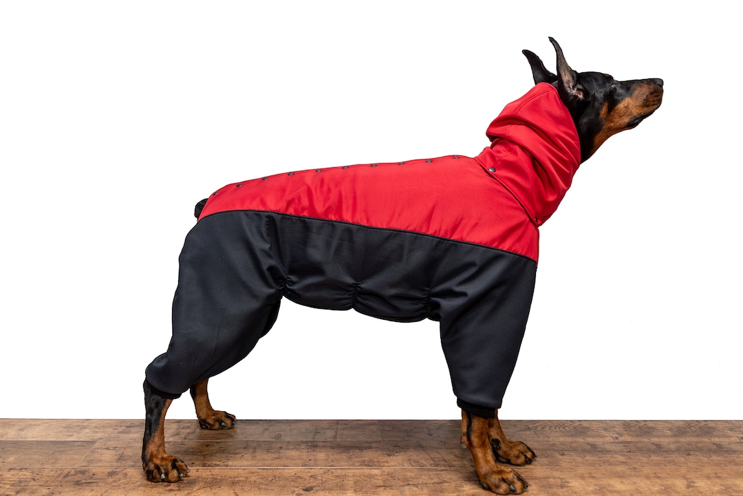 Doberman Pinscher Winter Full Body Jacket Custom Made Dog Pet Snowsuit ...