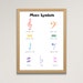 Music Theory Bundle, 8 Music Theory Posters, Music Posters for Music ...
