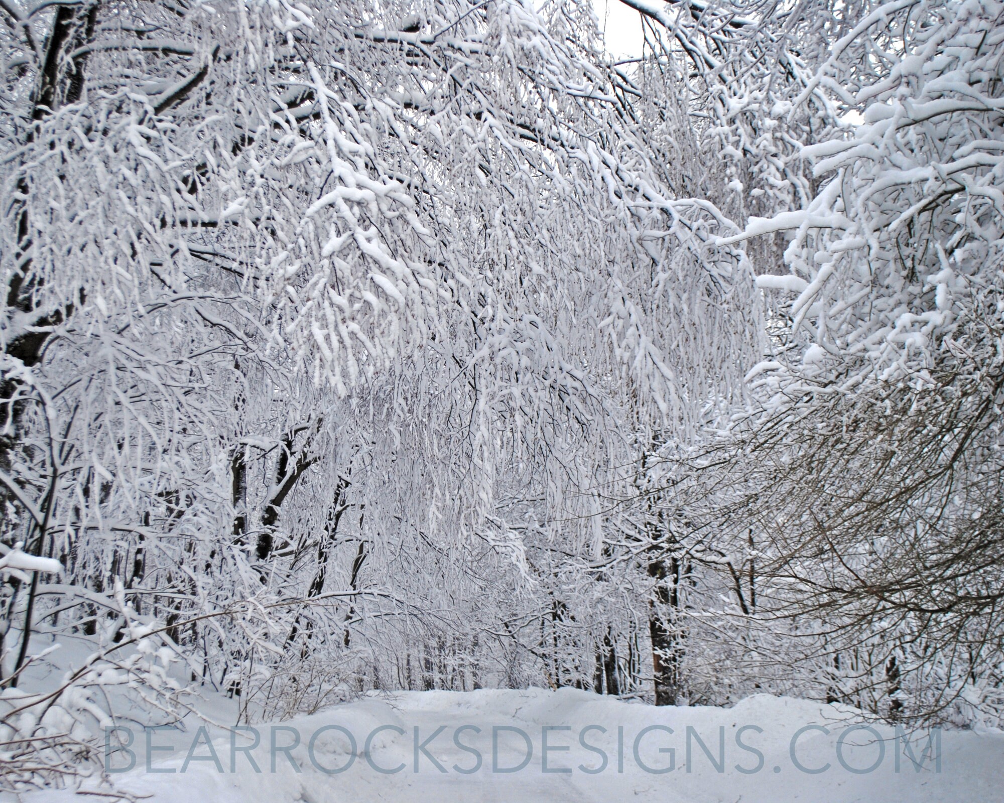 Nature Snow Print 8x10 February Snowfall Laurel Highlands Nature Home ...