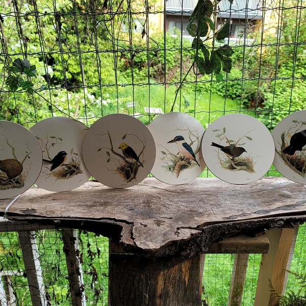 Cottage Bird Art - Etsy