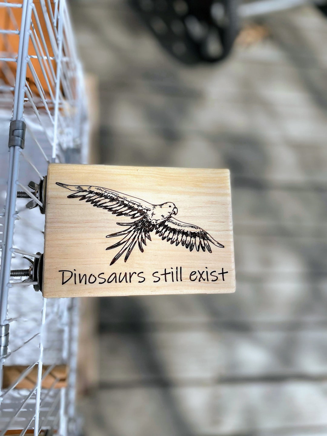 Dinosaurs Still Exist Engraved Flat Platform Bird Perch Stand - Etsy