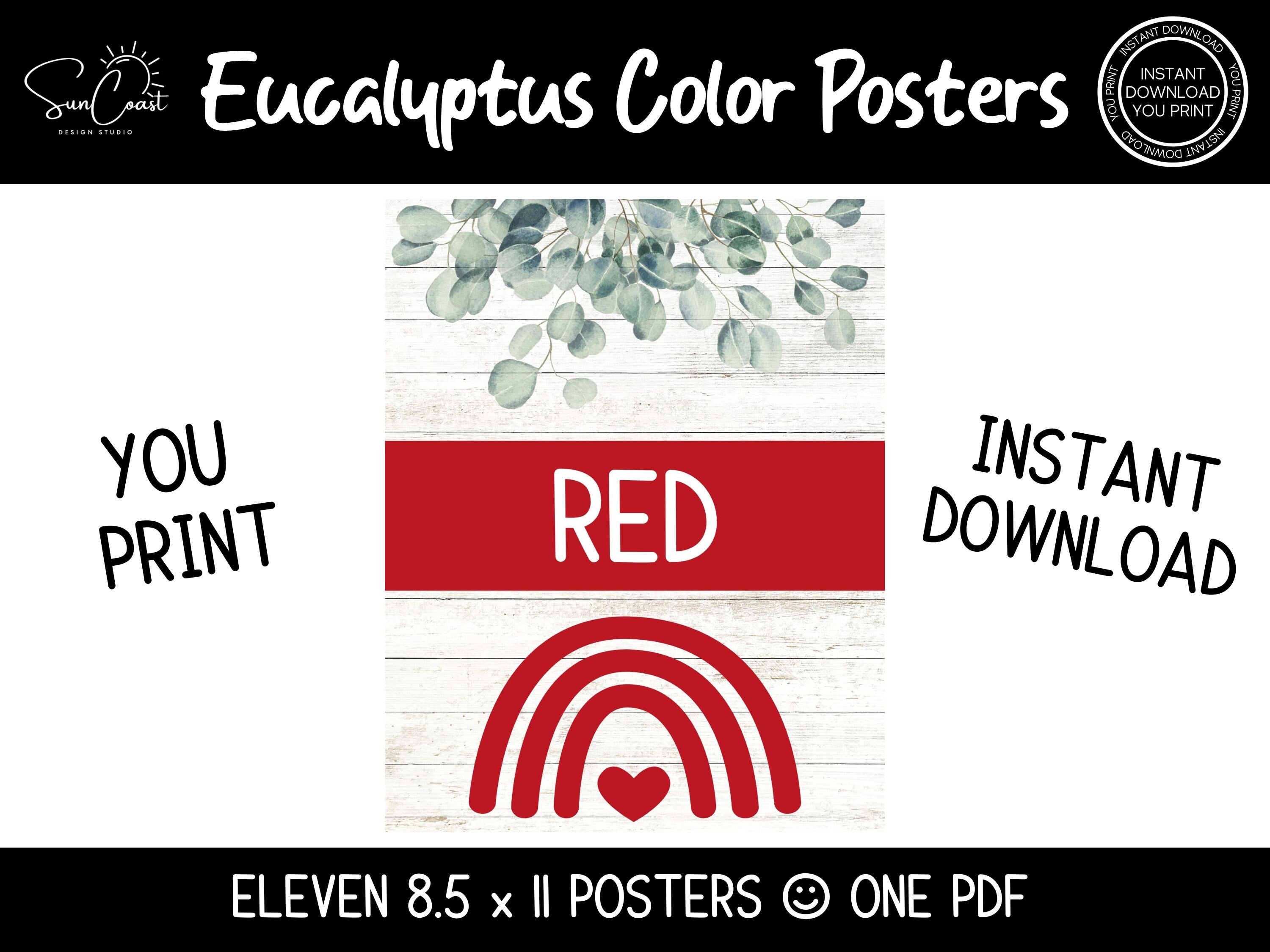 Eucalyptus Color Posters - Classroom Decor - Preschool Decor ...