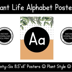 Plant Life Alphabet Posters | Plant Classroom | Botanical Classroom ...