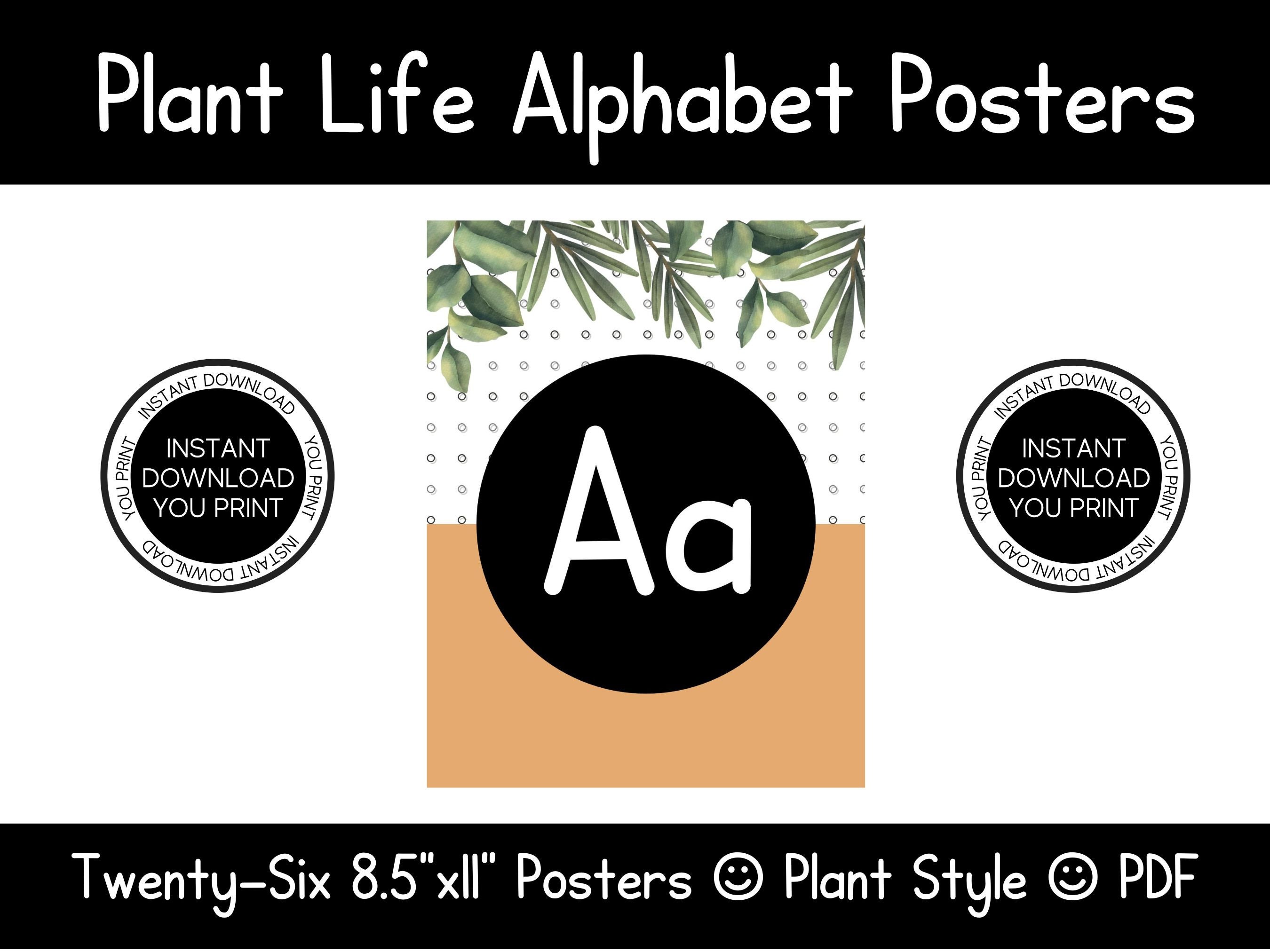 Plant Life Alphabet Posters | Plant Classroom | Botanical Classroom ...