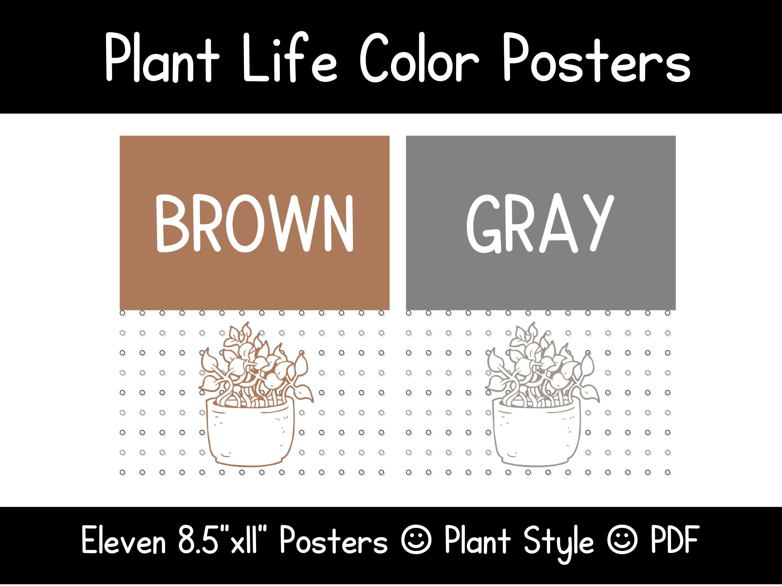 Plant Life Color Posters | Plant Classroom | Botanical Classroom Decor ...