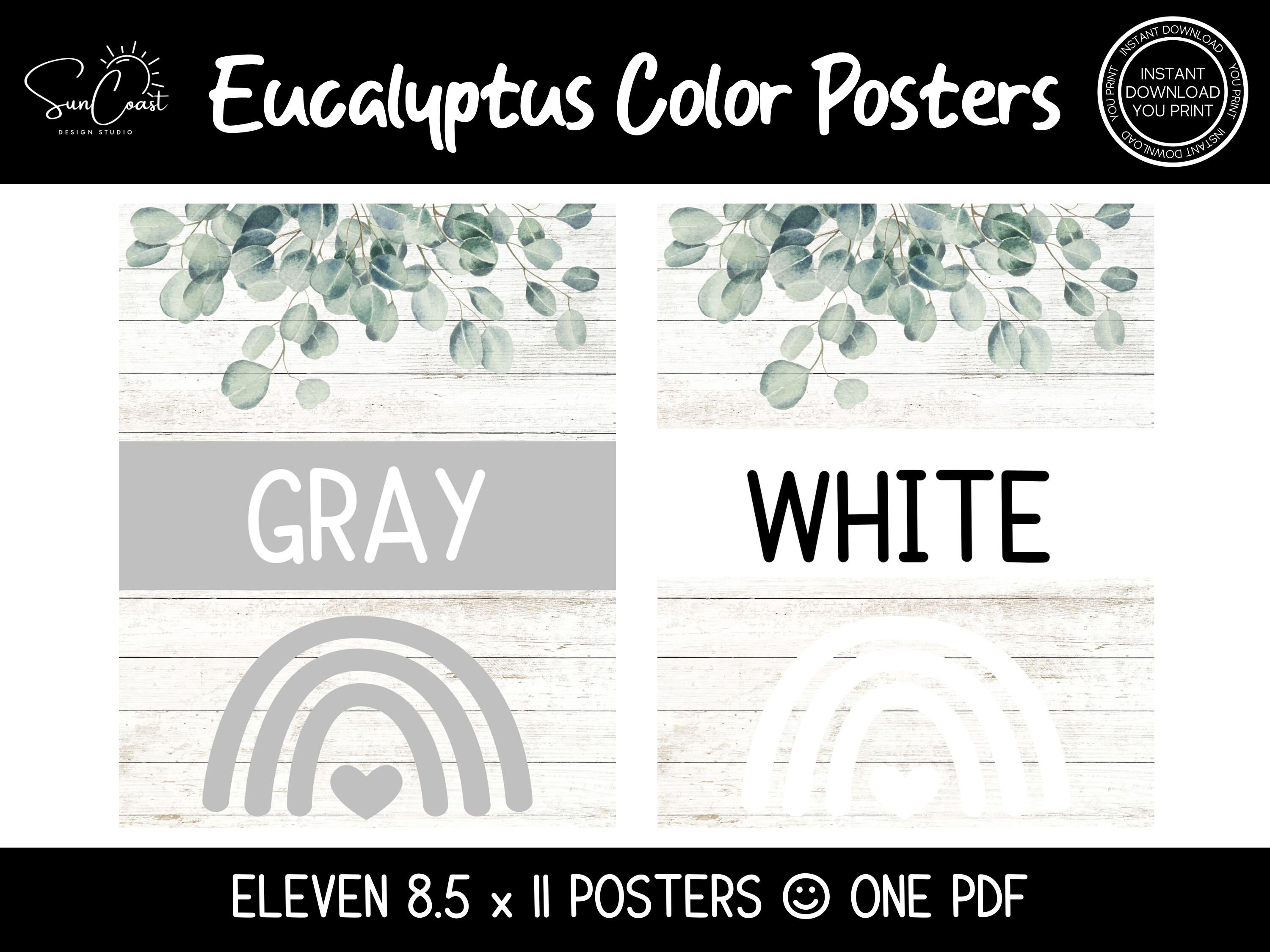 Eucalyptus Color Posters - Classroom Decor - Preschool Decor ...