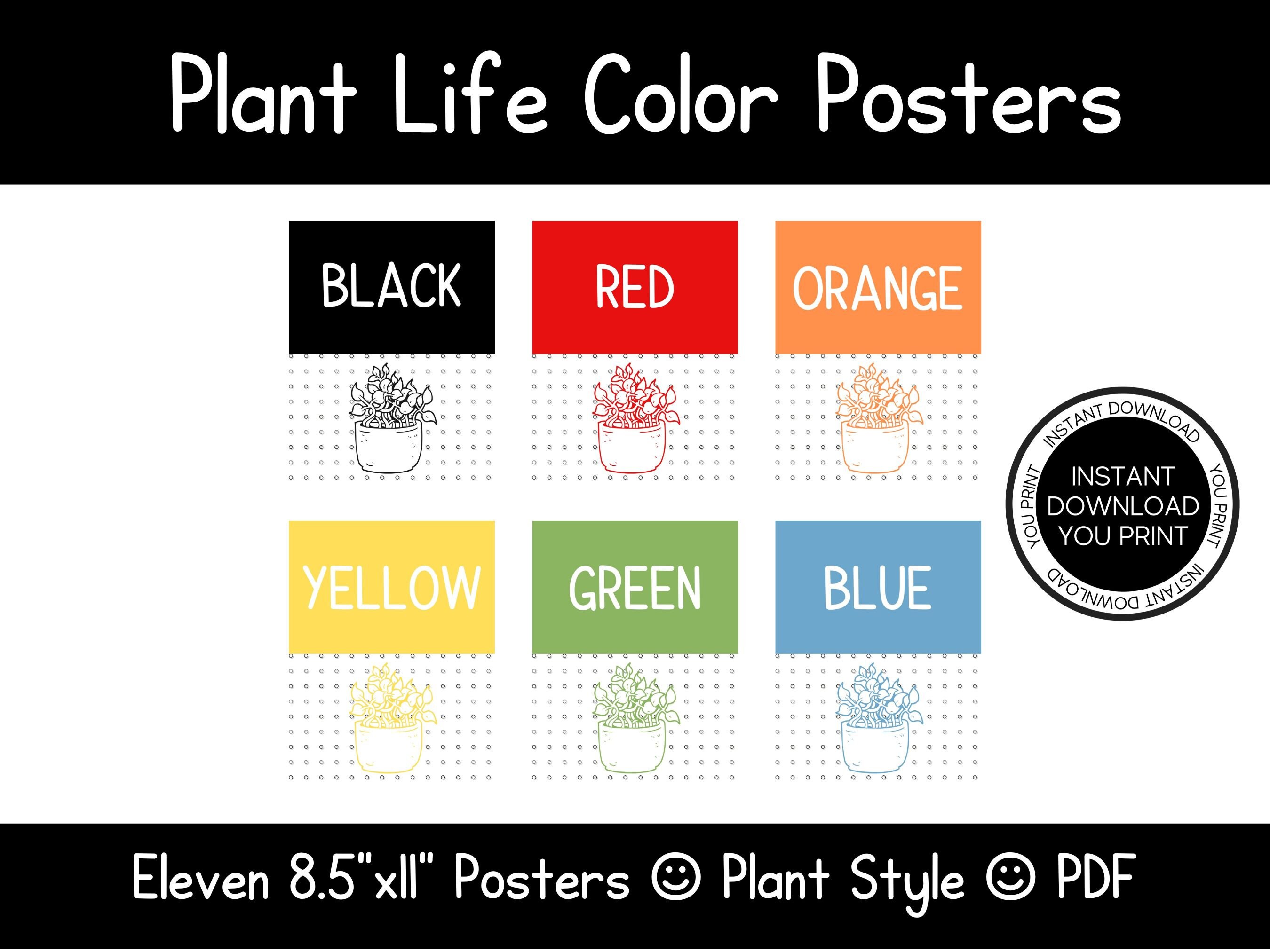 Plant Life Color Posters | Plant Classroom | Botanical Classroom Decor ...