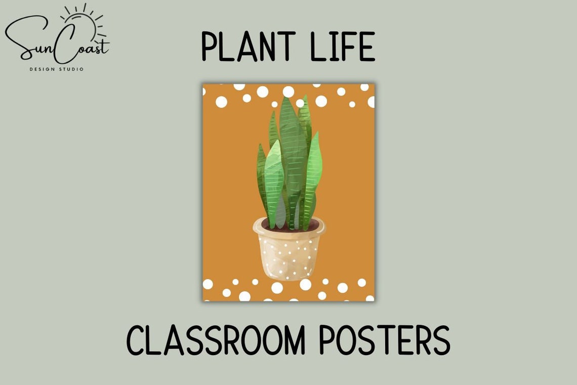 Plant Life Classroom Posters Modern Classroom Decorations - Etsy