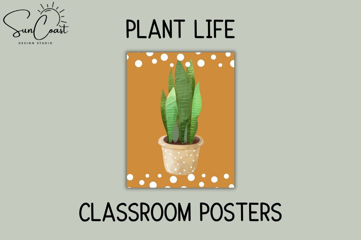 Plant Life Classroom Posters Modern Classroom Decorations - Etsy