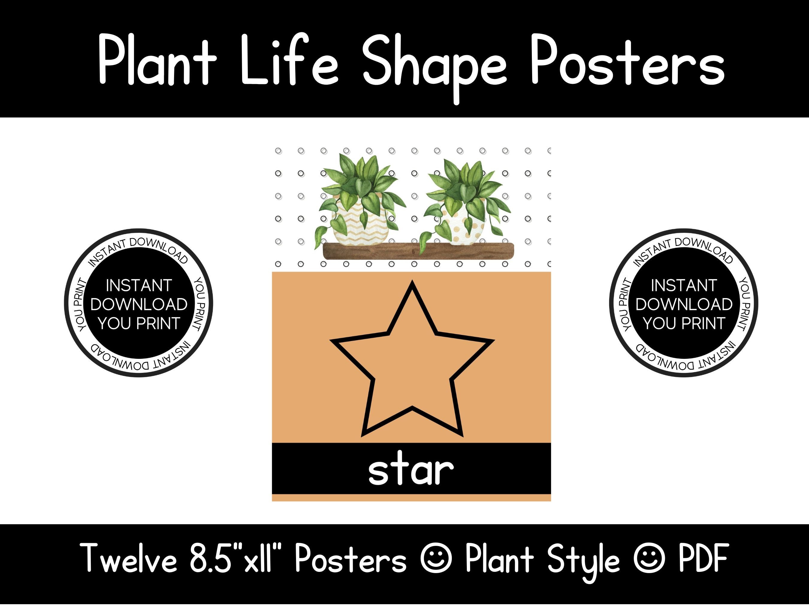 Shape Posters | Plant Life Posters | Plant Classroom | Botanical ...