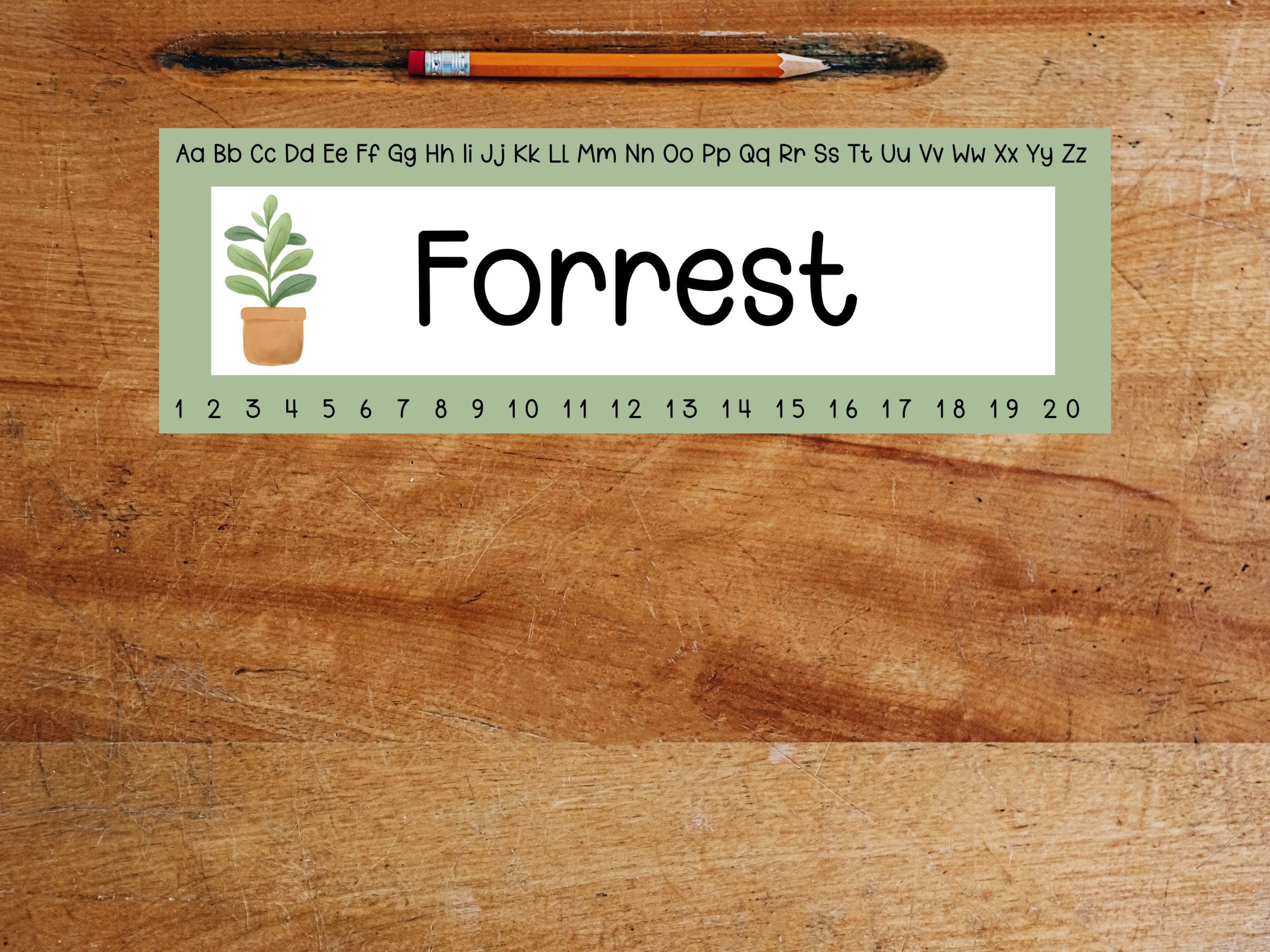 Plant Life Name Tags | Classroom Labels | Editable - Etsy