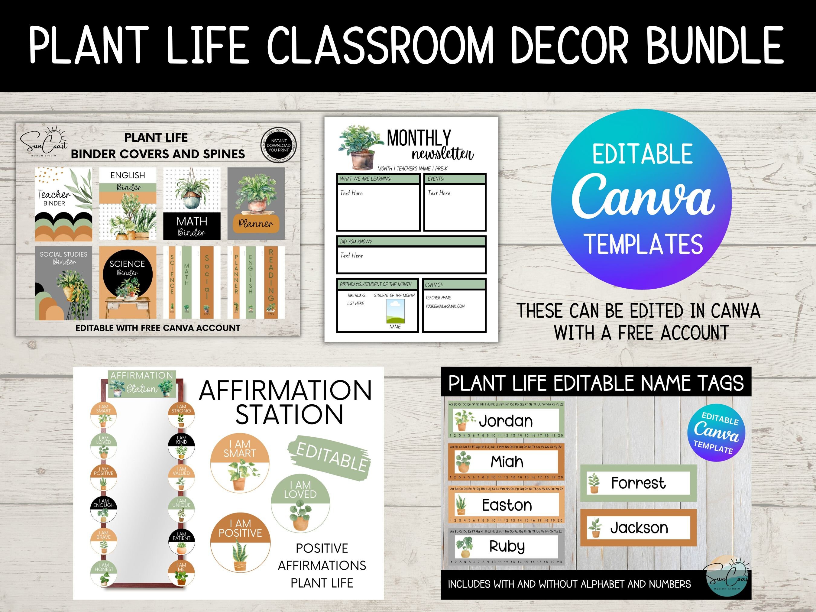 Boho Plants Classroom Decor Bundle | Rustic Modern Boho Decor - Etsy