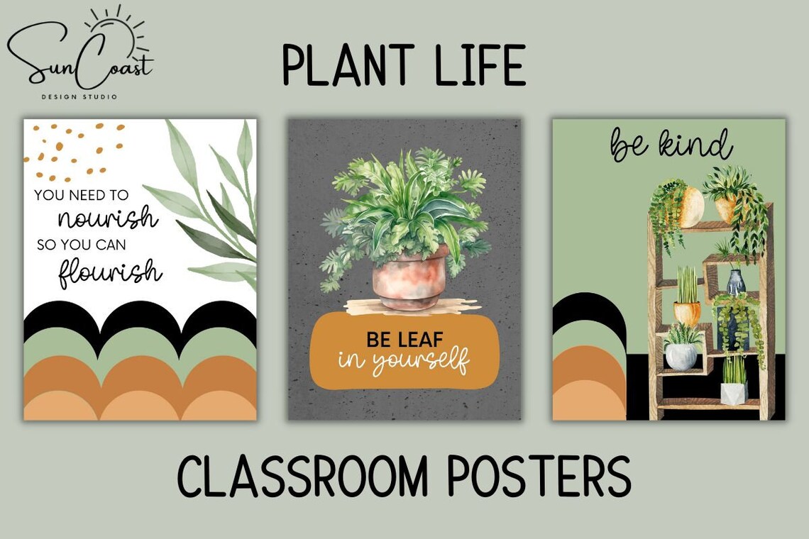 Plant Life Classroom Posters Modern Classroom Decorations - Etsy