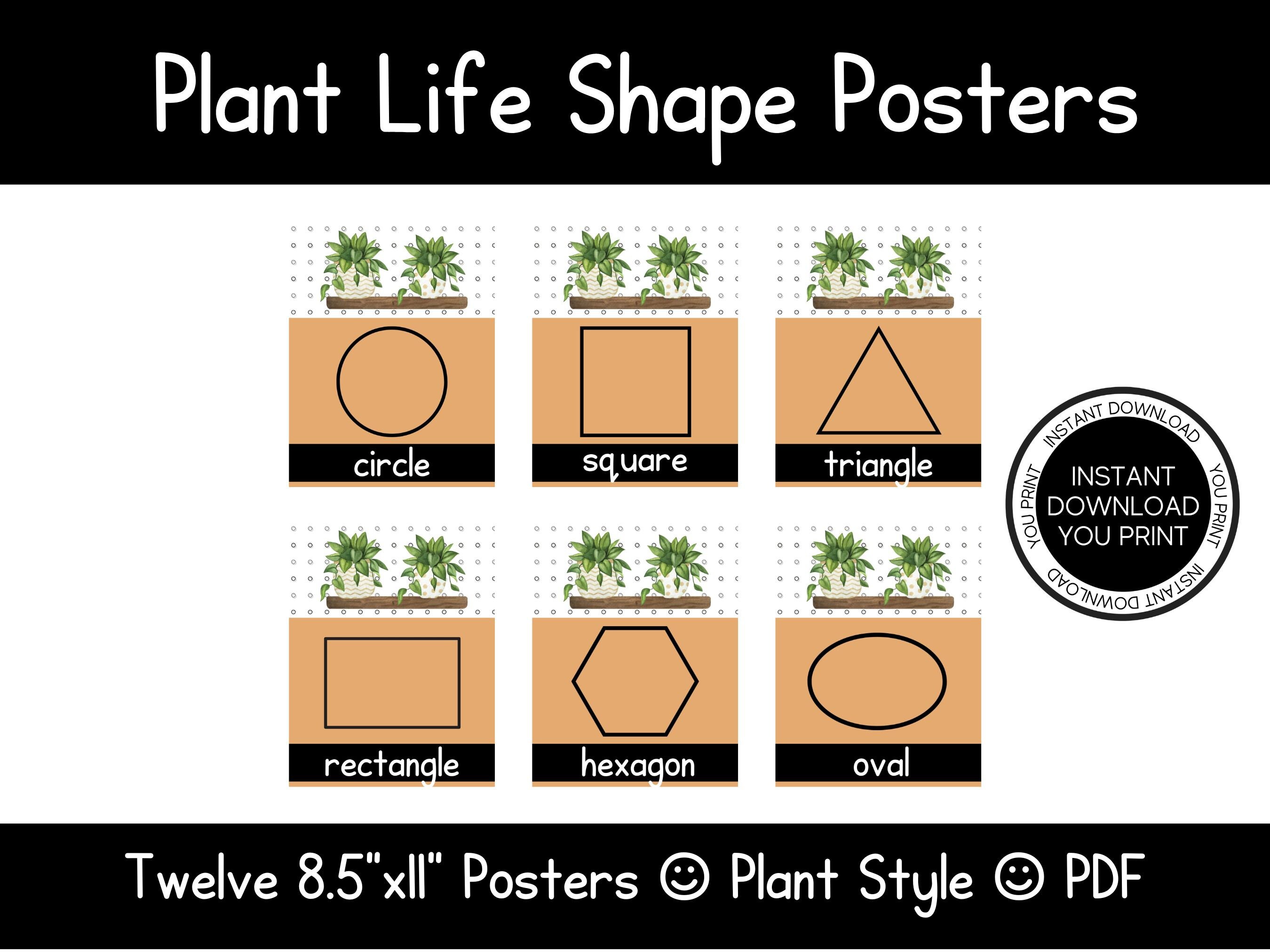 Shape Posters | Plant Life Posters | Plant Classroom | Botanical ...