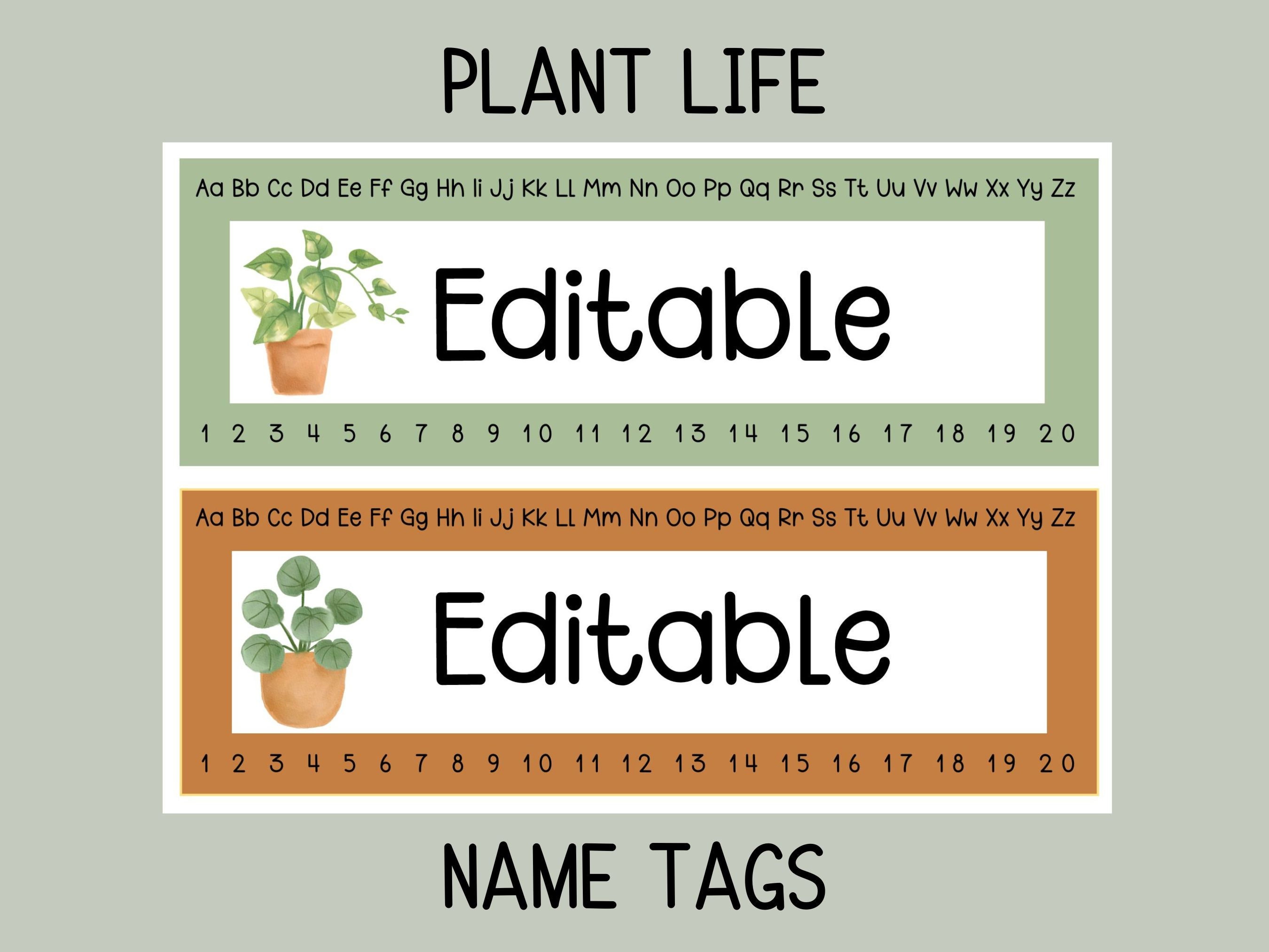 Plant Life Name Tags | Classroom Labels | Editable - Etsy