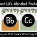 Plant Life Alphabet Posters | Plant Classroom | Botanical Classroom ...