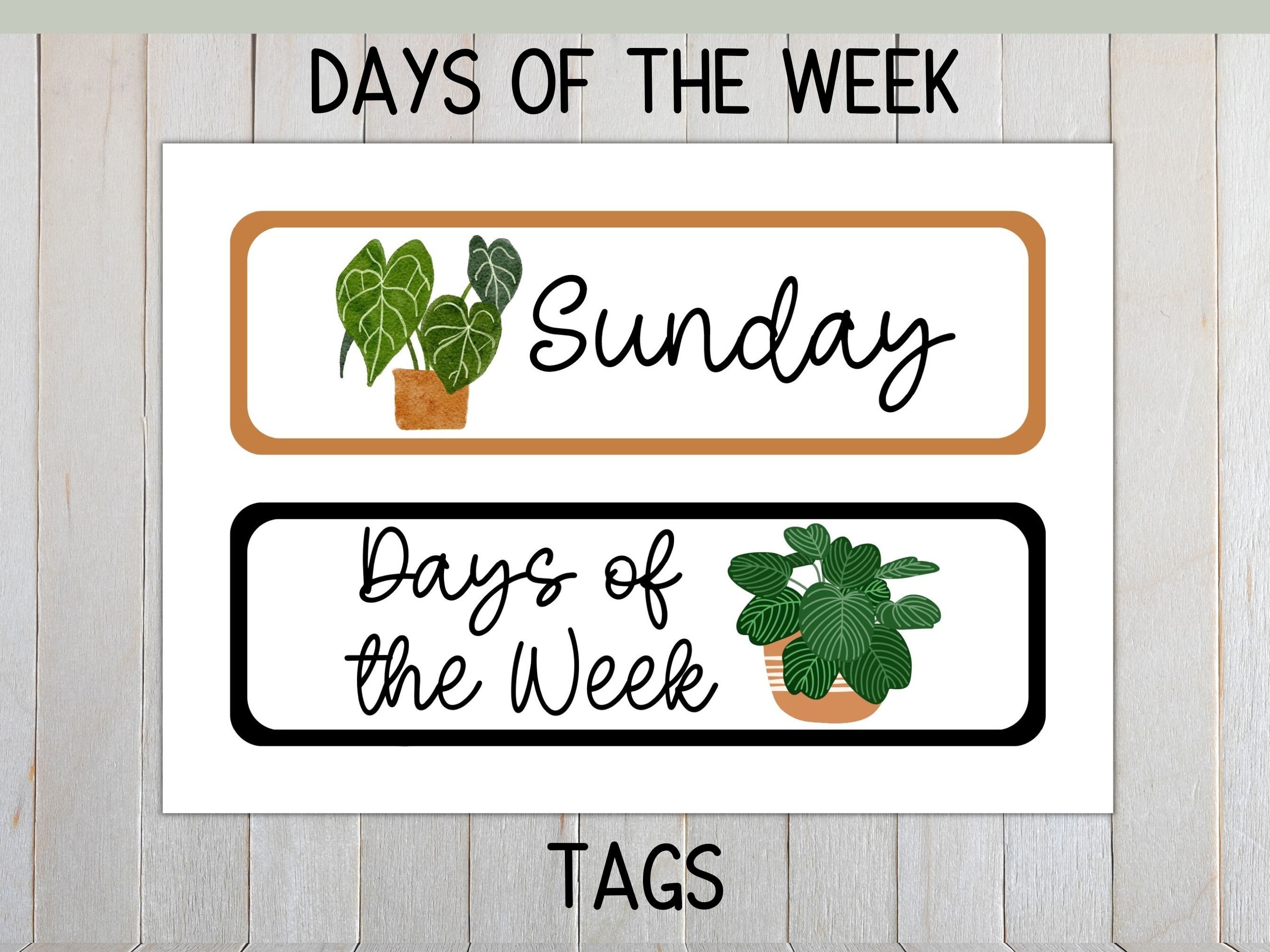 Plant Life Days and Months Display, Days of the Week Display, Months of ...