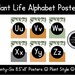 Plant Life Alphabet Posters | Plant Classroom | Botanical Classroom ...