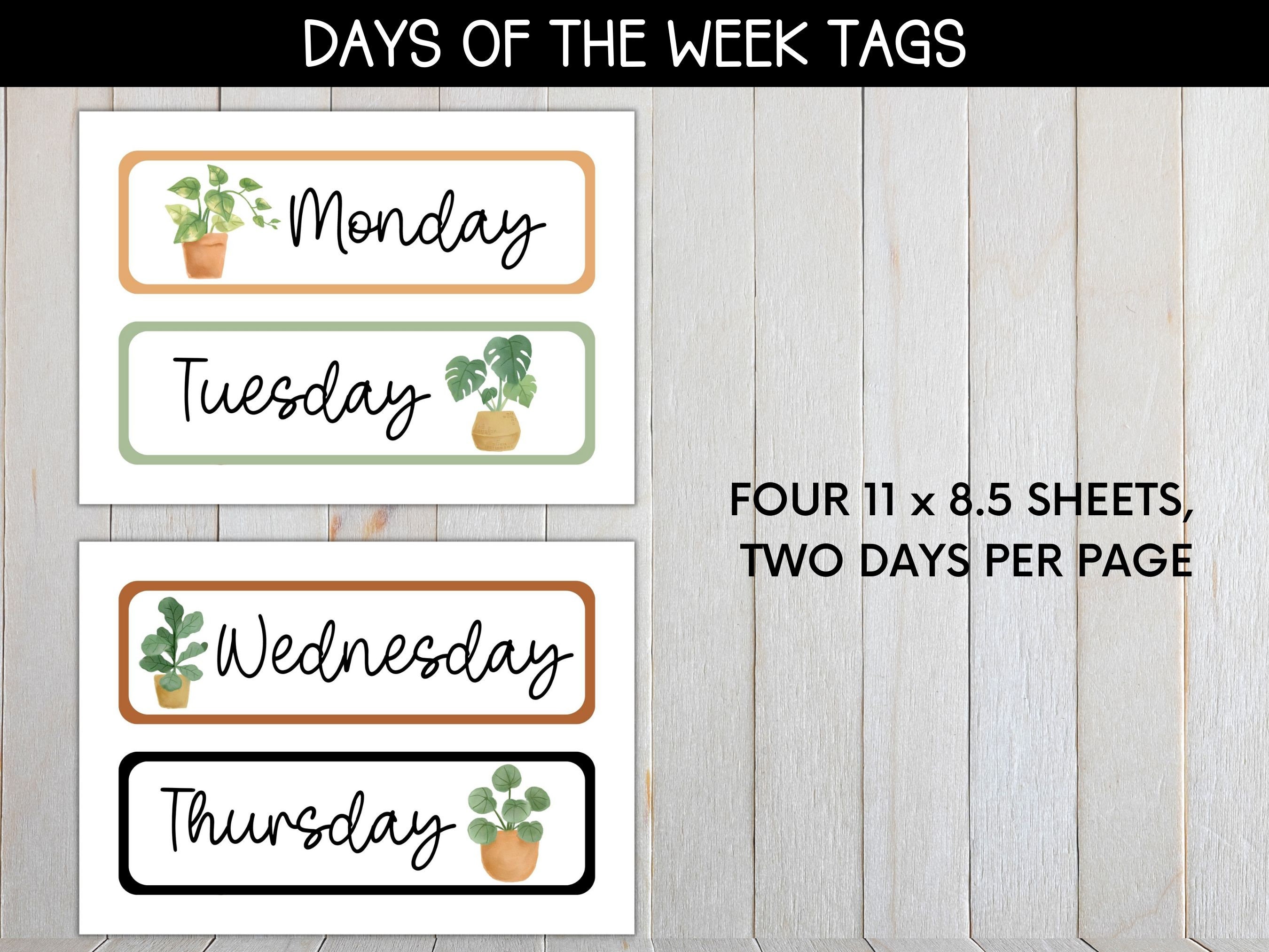 Plant Life Days and Months Display, Days of the Week Display, Months of ...
