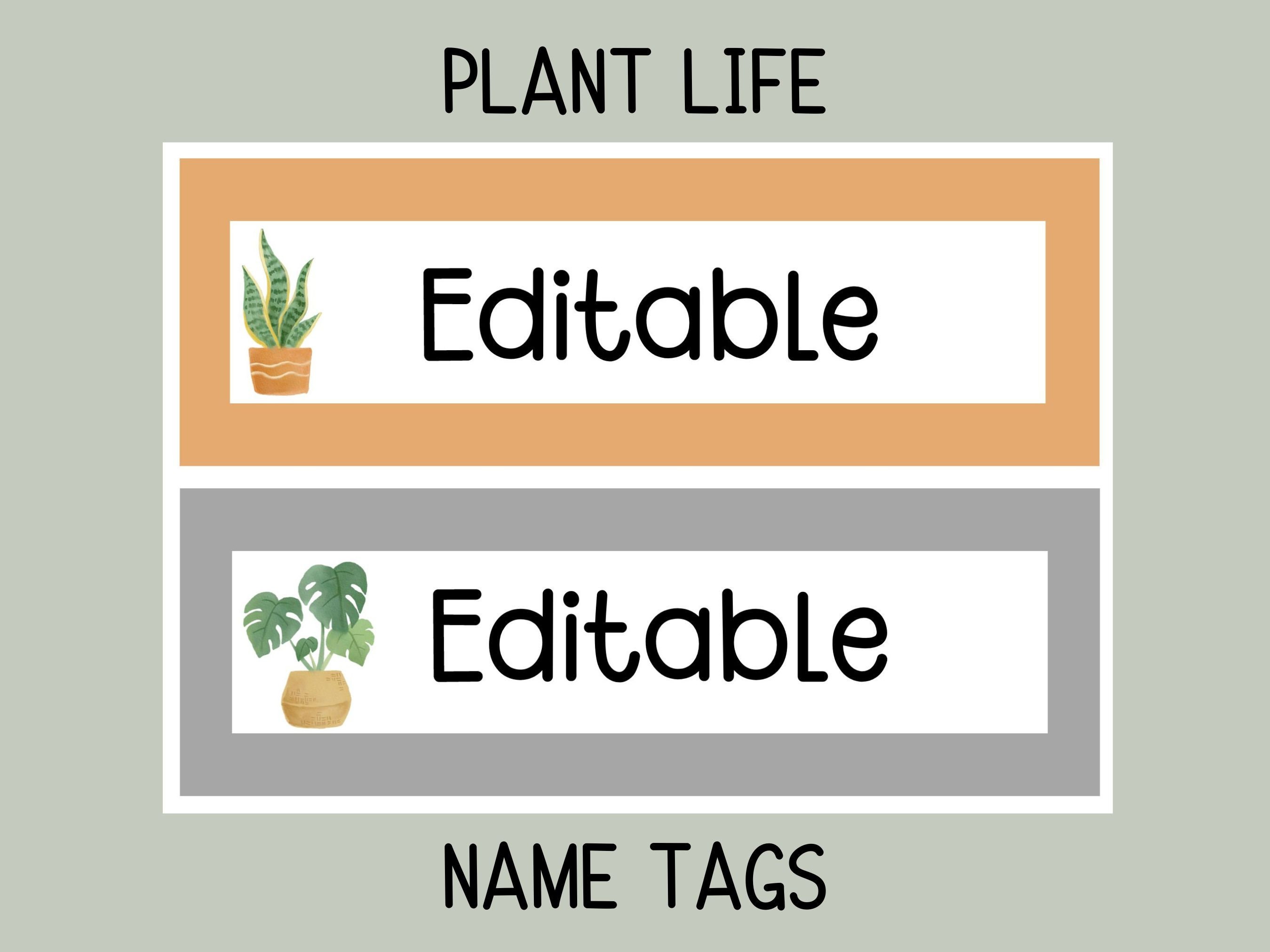Plant Life Name Tags | Classroom Labels | Editable - Etsy