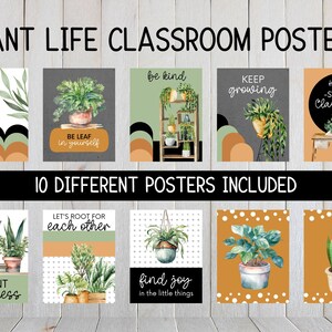 Plant Life Classroom Posters, Modern Classroom Decorations, Instant ...