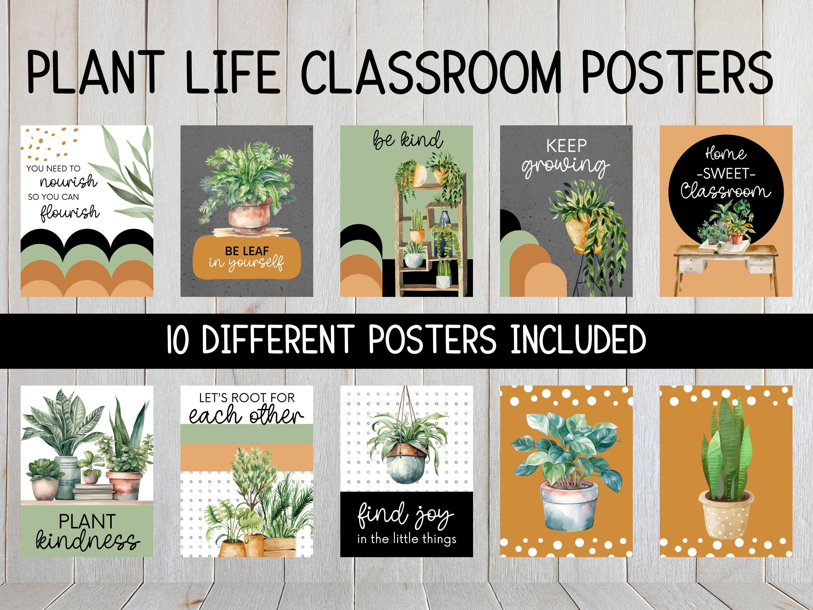 Plant Life Classroom Posters, Modern Classroom Decorations, Instant ...