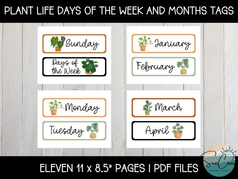 Plant Life Days and Months Display, Days of the Week Display, Months of ...