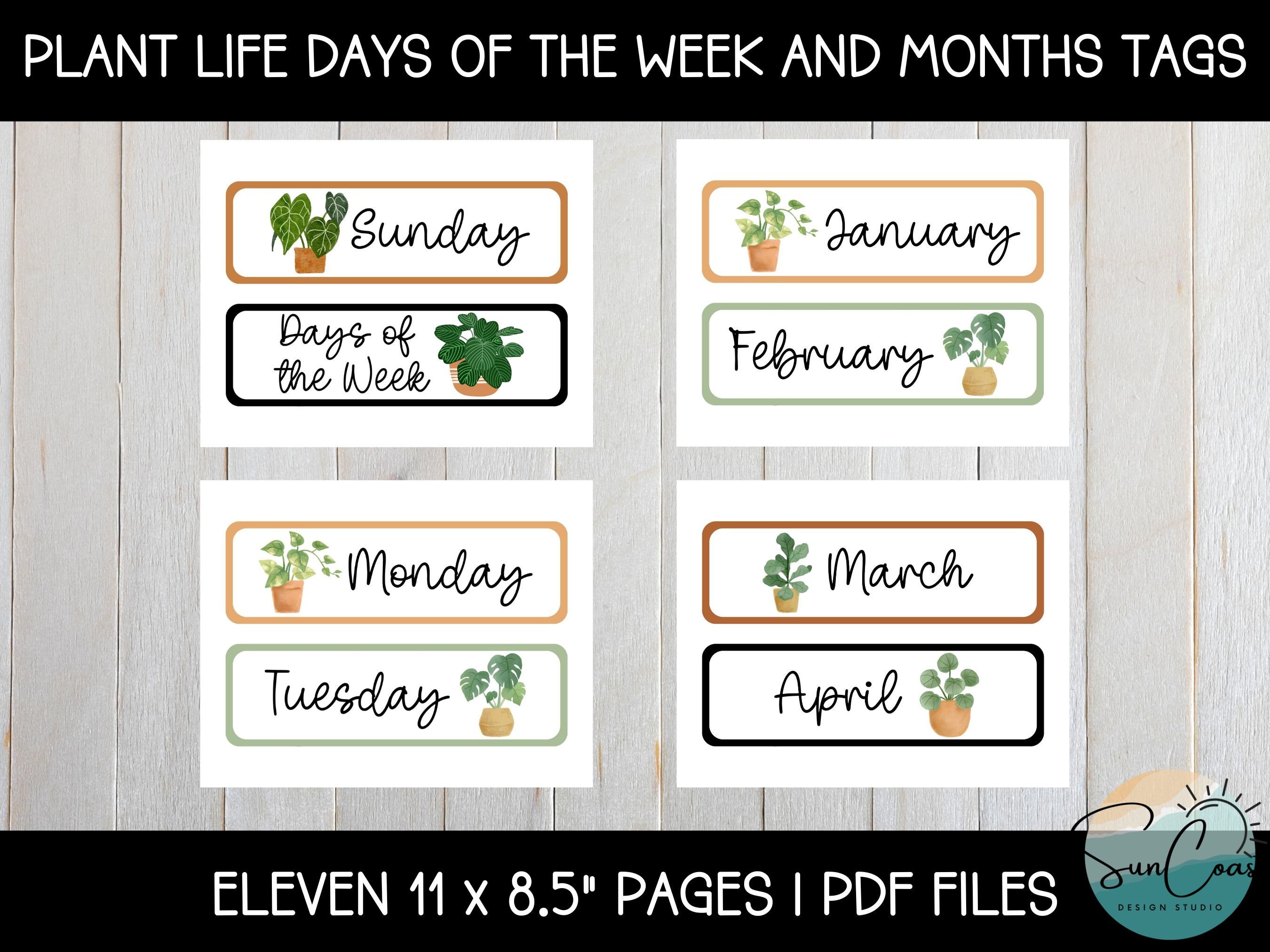 Plant Life Days and Months Display, Days of the Week Display, Months of ...