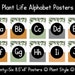Plant Life Alphabet Posters | Plant Classroom | Botanical Classroom ...