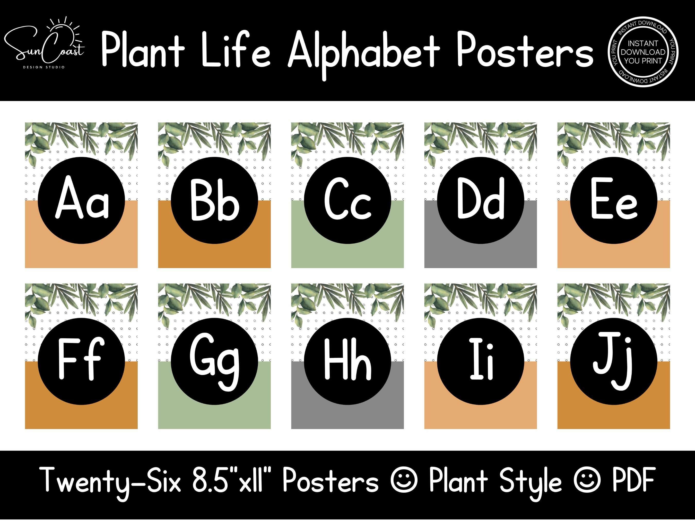 Plant Life Alphabet Posters | Plant Classroom | Botanical Classroom ...