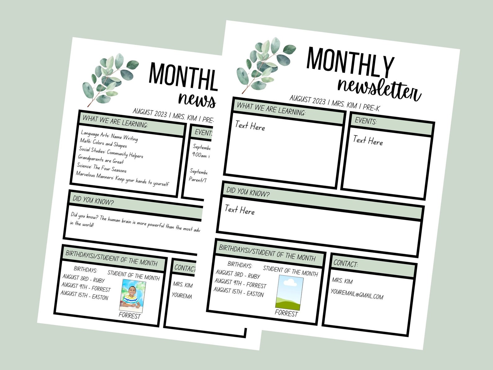 School Newsletter Template Editable, Eucalyptus Newsletter, Classroom ...