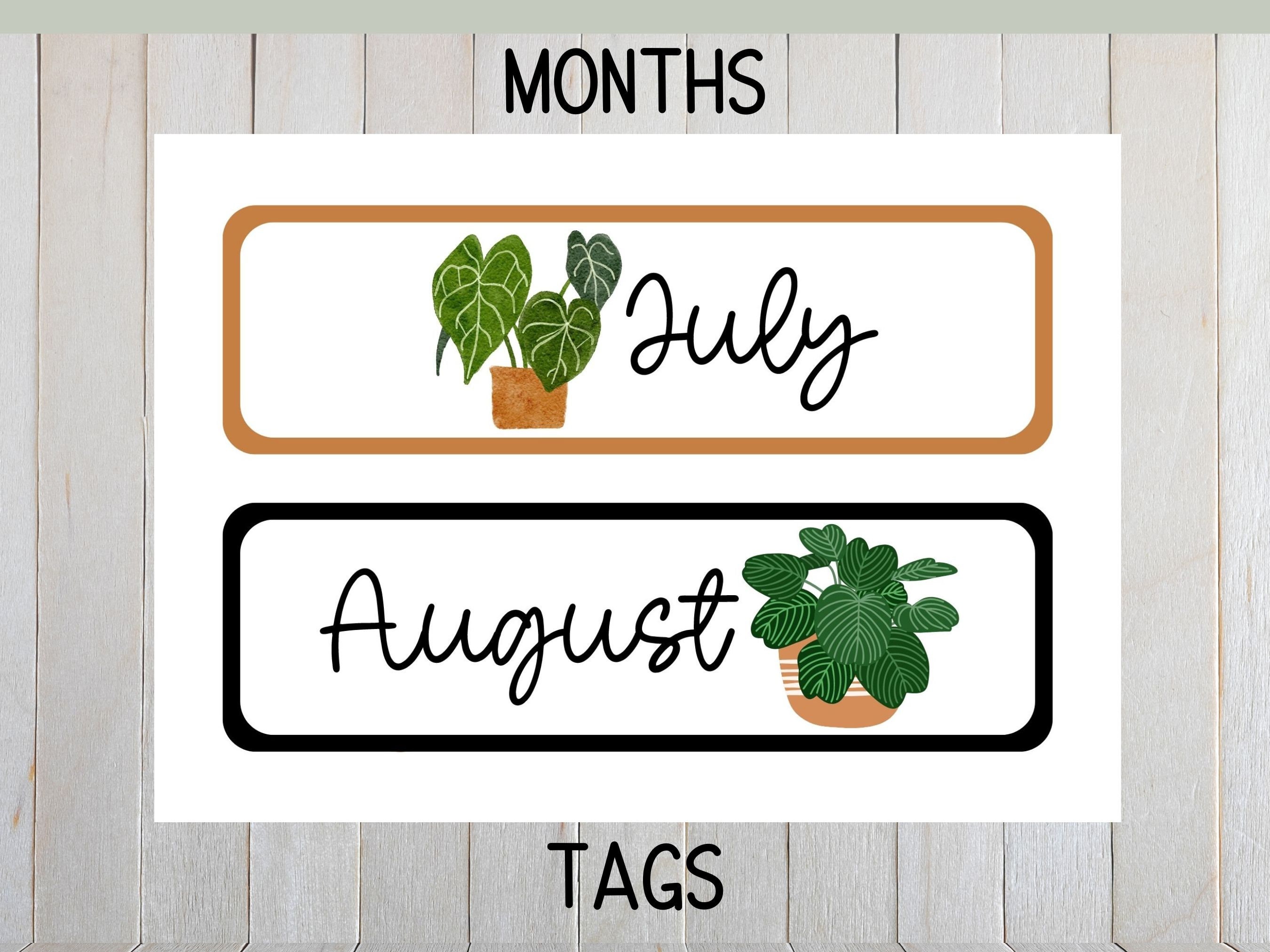 Plant Life Days and Months Display, Days of the Week Display, Months of ...